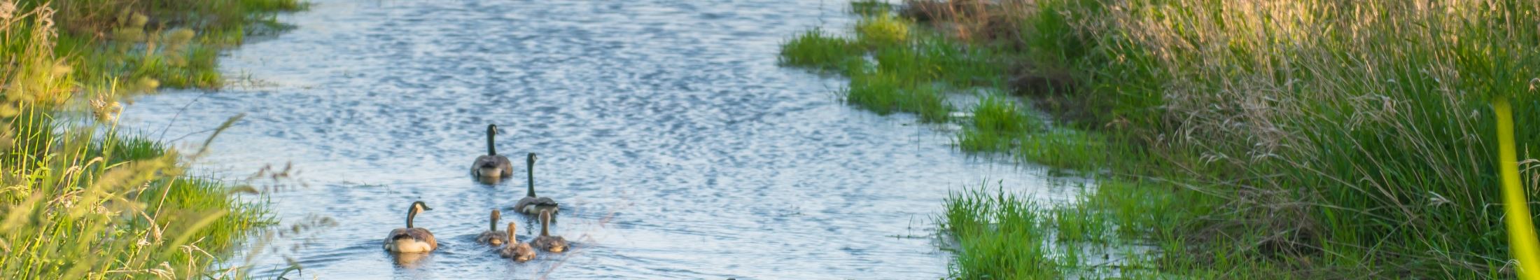 Staff Directory • Ridgefield, WA • CivicEngage